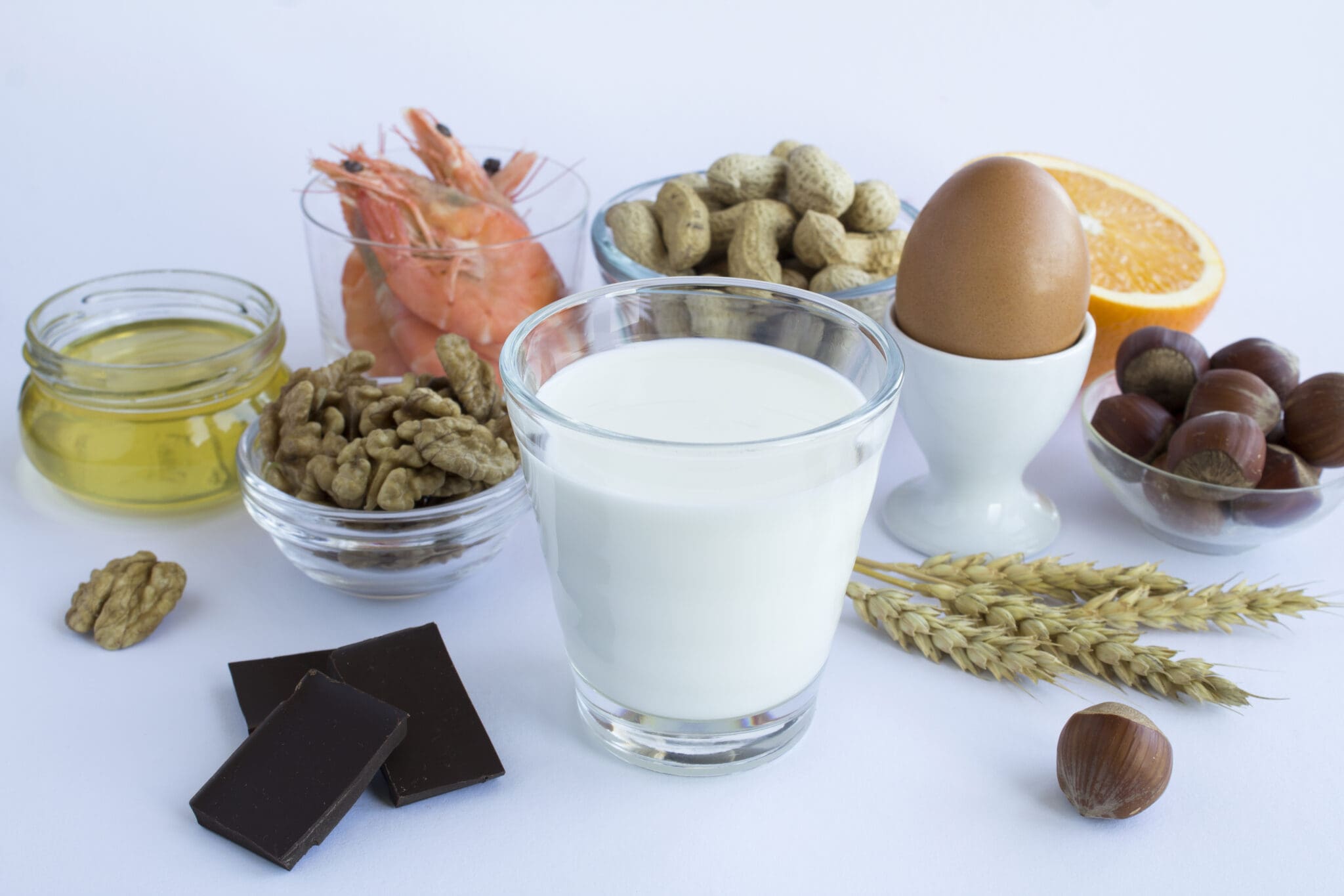 Courses | HACCP Australia