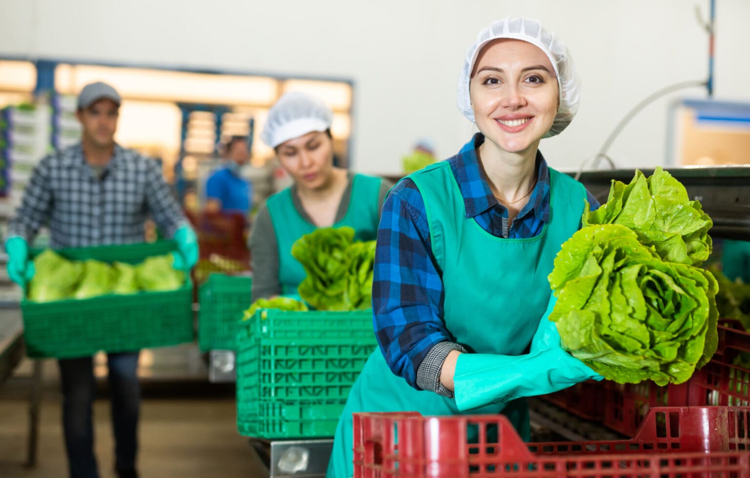 Courses | HACCP Australia